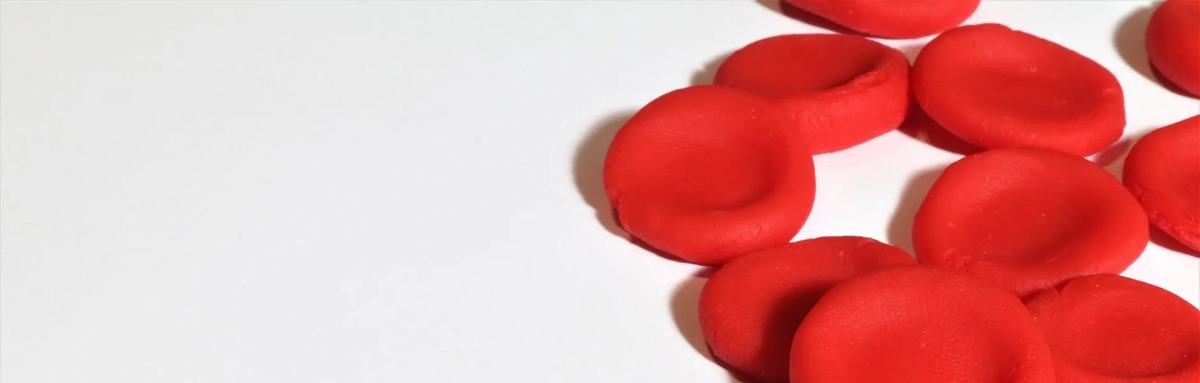 home [forum.bbts.org.uk]